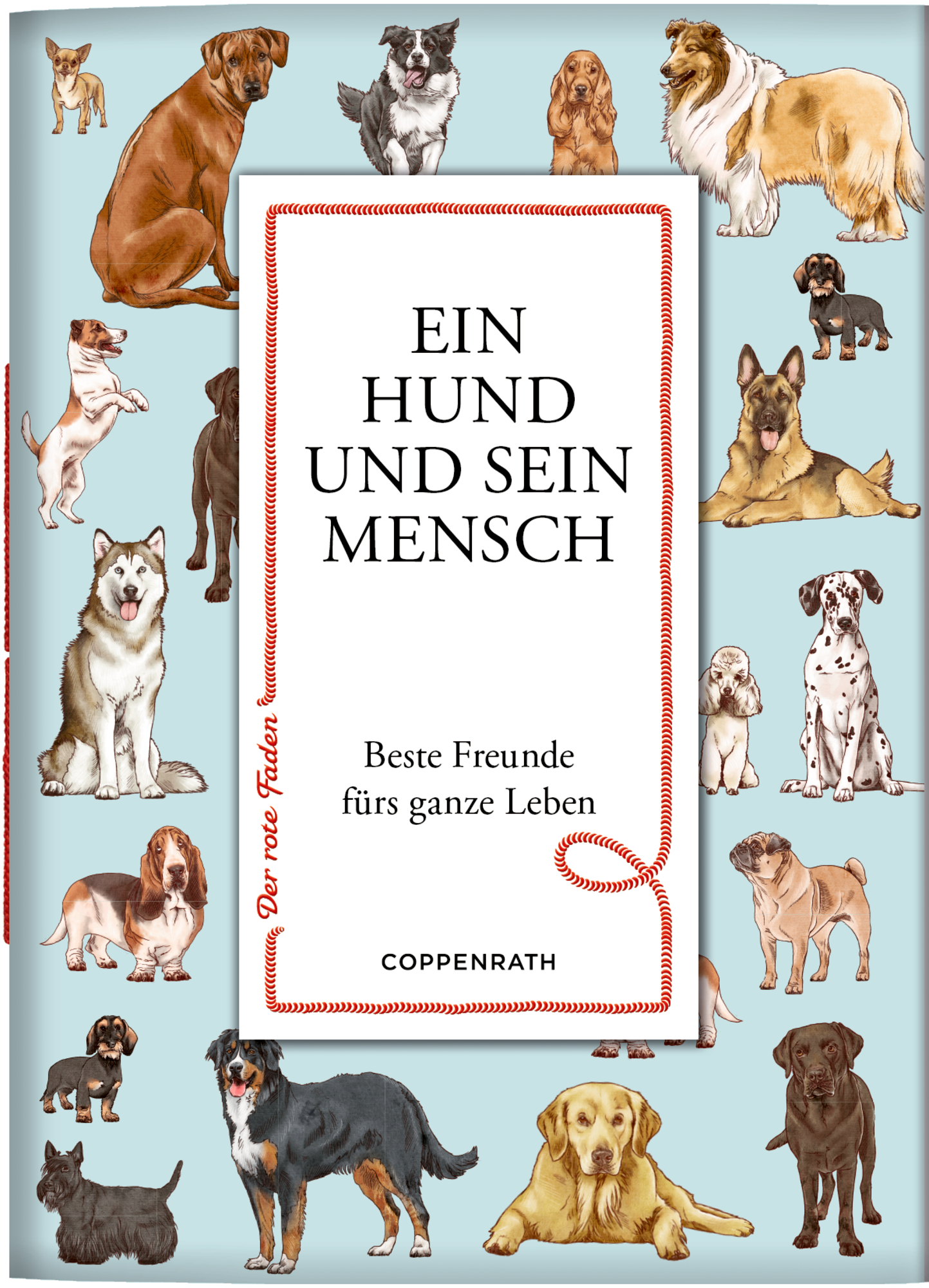 Ein Hund und sein Mensch - MVW Shop