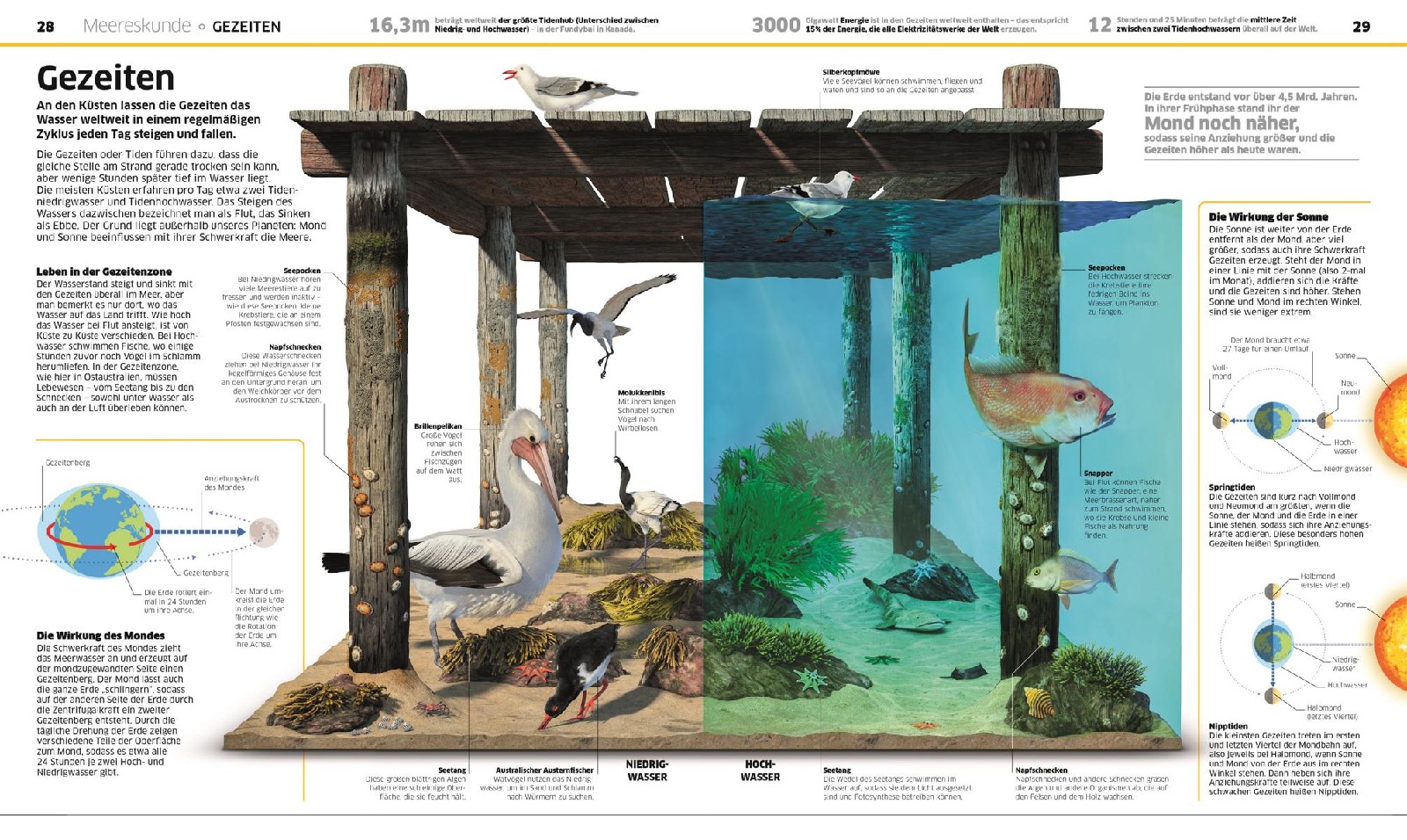 Wissen - Ozeane - MVW Shop